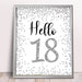 Silver 18th Birthday Signs Bundle, Cheers to 18 Years, Hello 18, Happy ...
