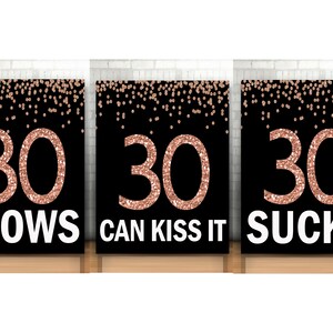 30th Birthday Signs Bundle, 30 Blows, 30 Sucks, 30 Can Kiss It, Happy ...