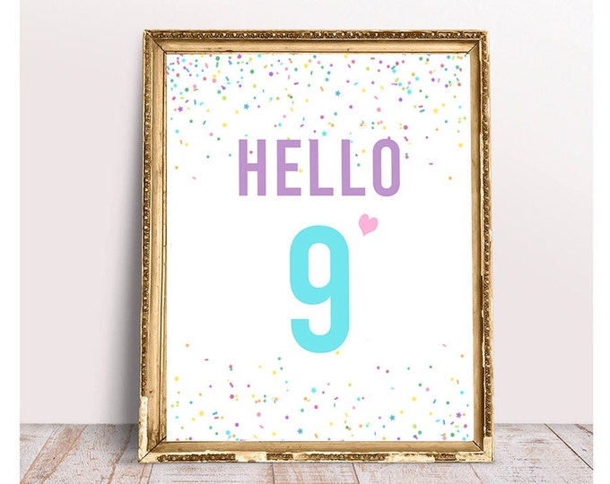 Number 9 Sign Printable Ninth Birthday Party Sign Girl 9th Birthday ...