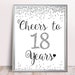 Silver 18th Birthday Signs Bundle, Cheers to 18 Years, Hello 18, Happy ...