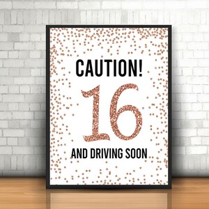 16th Birthday Signs Bundle, Cheers to 16 Years, Hello 16, Happy 16th ...