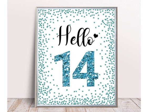 14th Birthday Sign