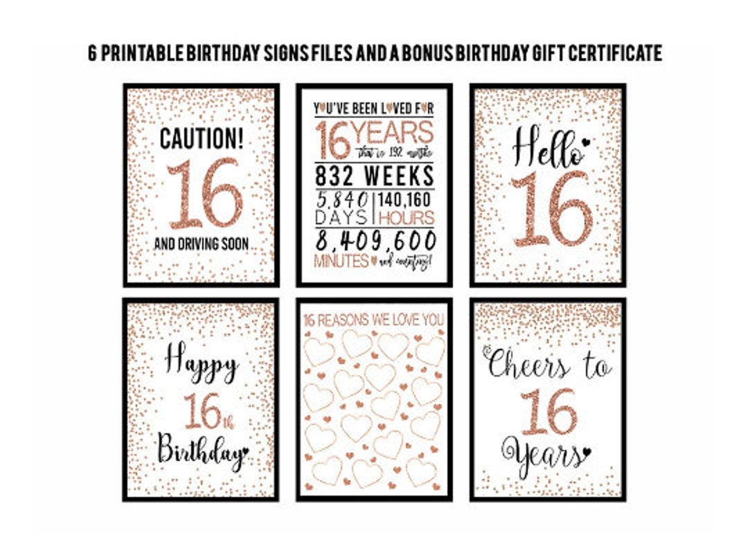 16th Birthday Signs Bundle, Cheers to 16 Years, Hello 16, Happy 16th ...