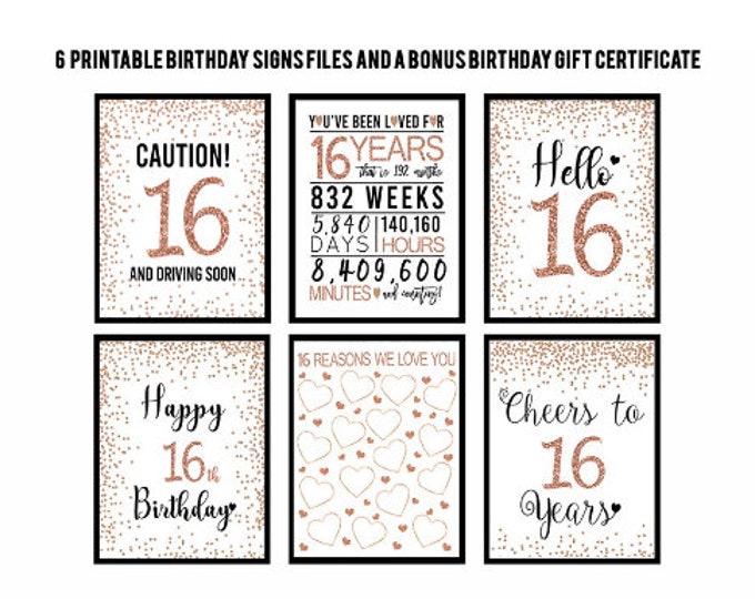 16th Birthday Printable Signs Bundle - Navy & Silver - Sweet 16 ...