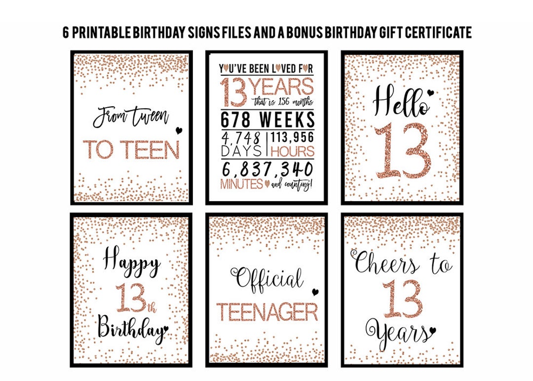 13th Birthday Signs Bundle Cheers to 13 Years Hello 13 - Etsy