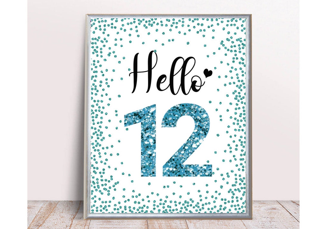 Blue 12th Birthday Sign, Hello 12, Cheers to 12 Years, Light Blue 12th ...