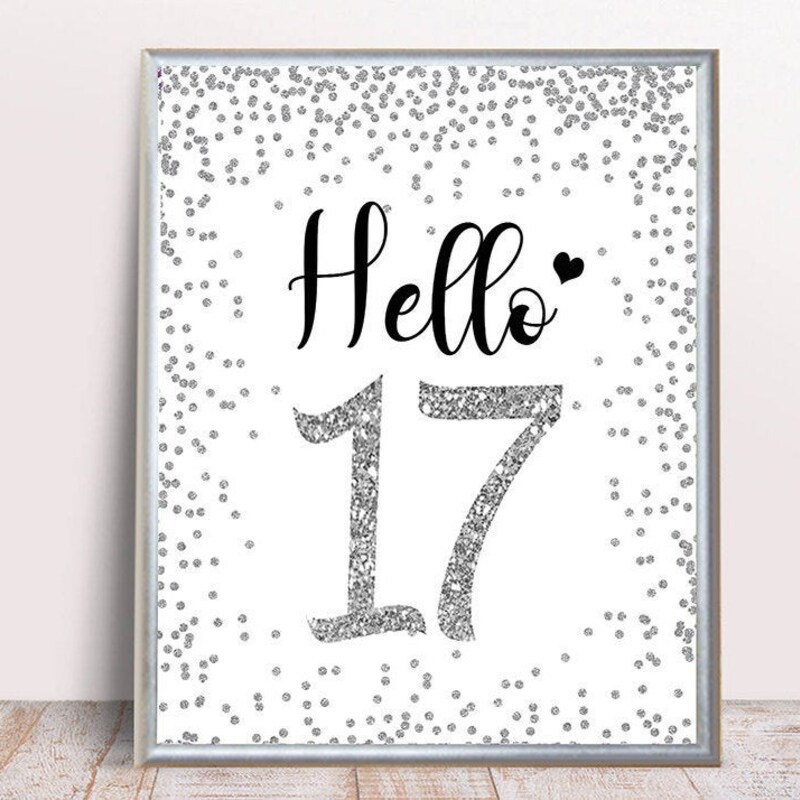 17th Birthday Decorations - Etsy