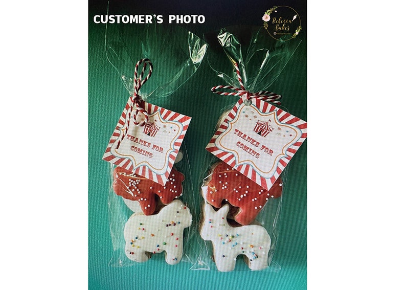 Editable Carnival Birthday Favor Tags Printable Circus Tent - Etsy