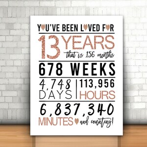 13th Birthday Signs Bundle, Cheers to 13 Years, Hello 13, Happy 13th ...