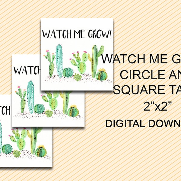 Succulent Favor - Etsy