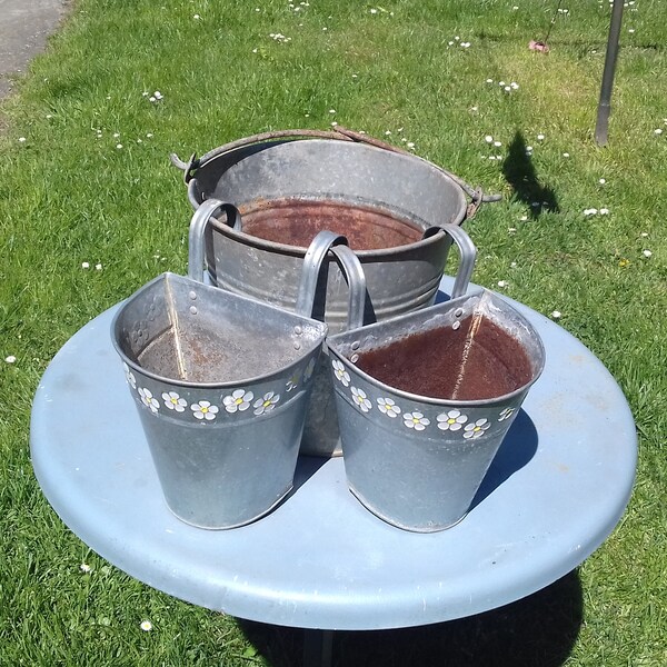 Antique Tin Cans - Etsy