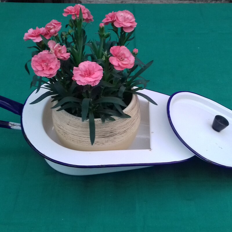 Bedpan - Etsy