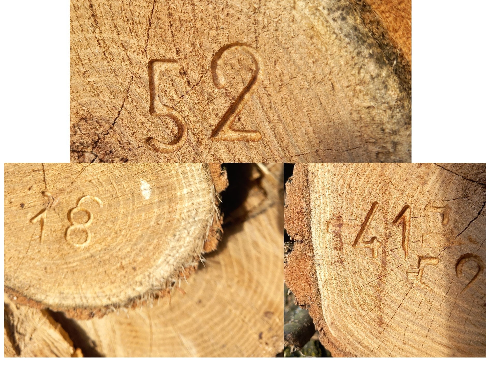 Log Marking Hammer, Wood Marking, Log Marking, Logging Stamp Hammer ...