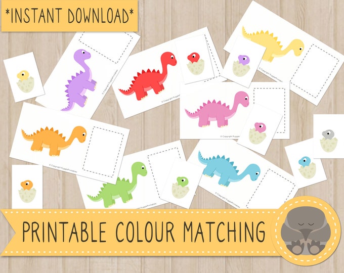 Montessori Dinosaur Object Match Matching Miniature Dino Figurines to ...