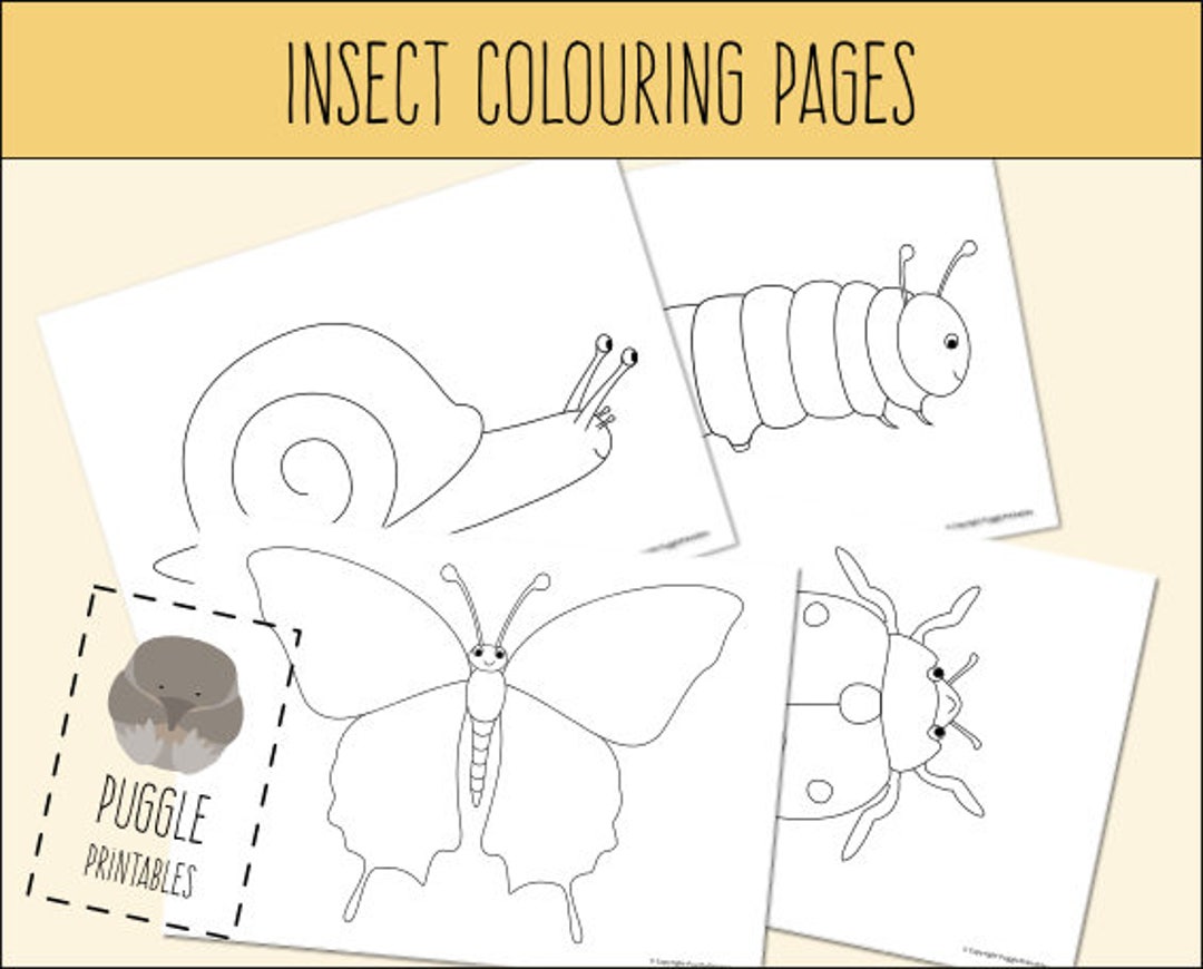 Printable Insect Colouring Pages (butterfly, Caterpillar, Ladybirdy ...