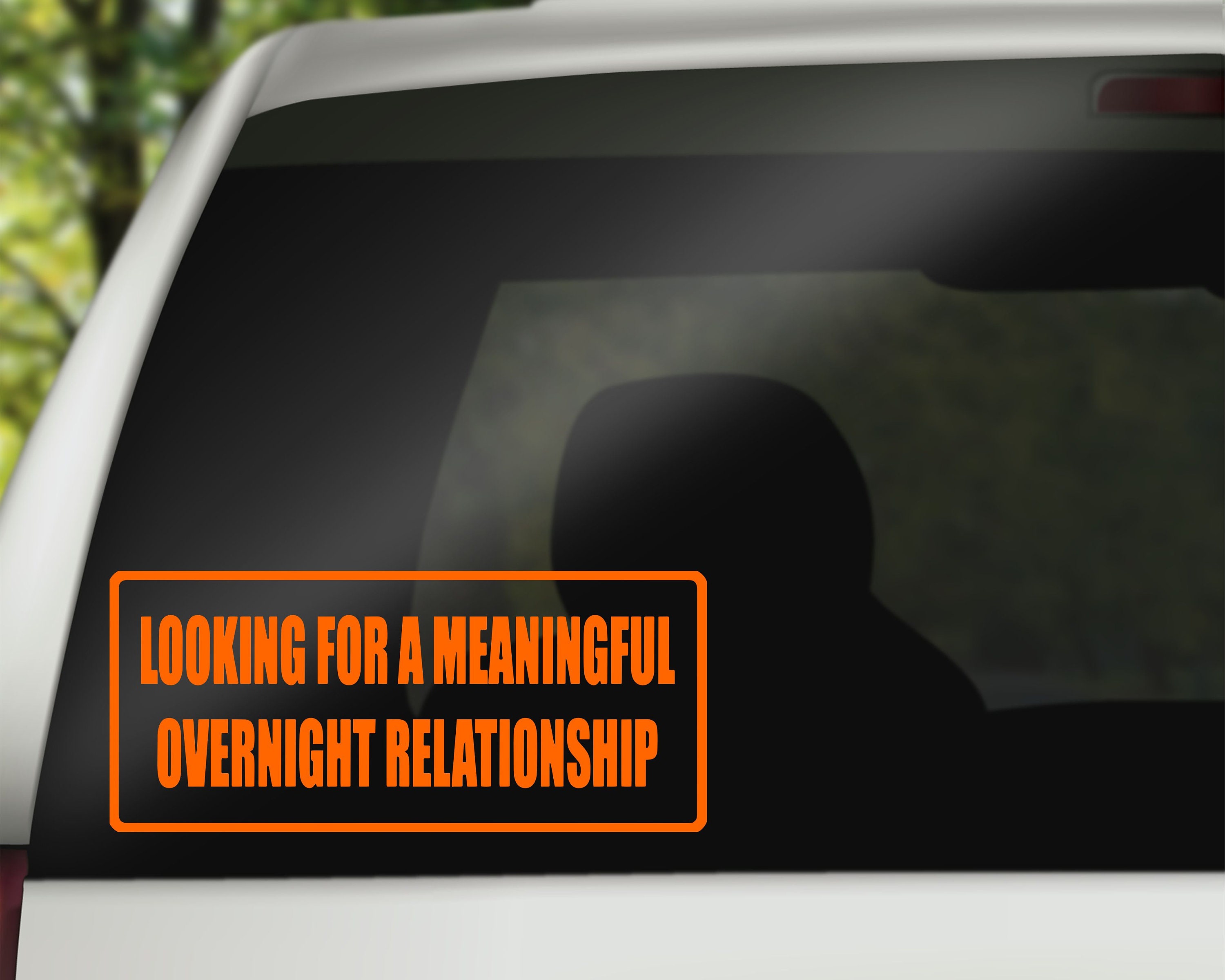 Window Decal Laptop Decal Funny Decal Wall Decal Car Decal Adults On ...