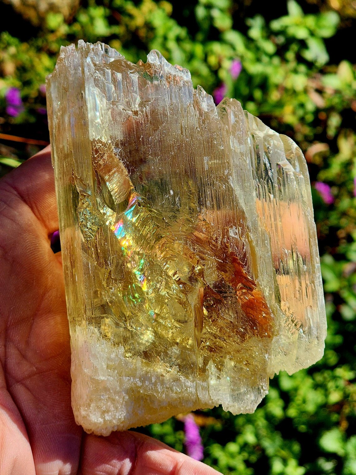 Kunzite, Golden, Rare Large Multi Terminated Collectors Piece - Etsy