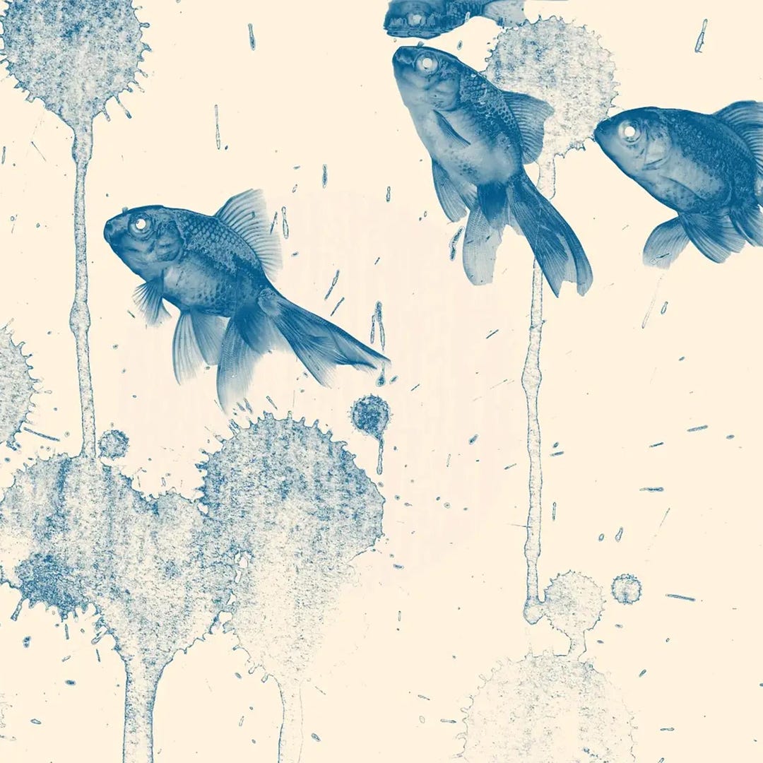 Blue Fish Decoupage Paper A3 - Furniture DIY, Upcycling Crafts - Etsy