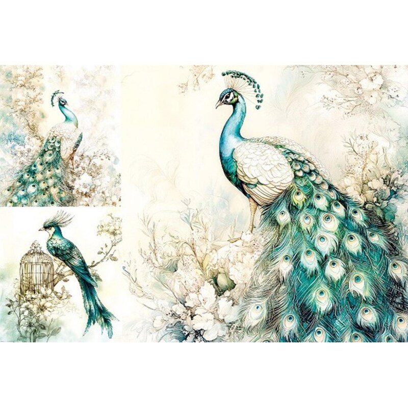Peacock Papers - Etsy