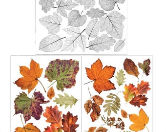 Rub on Transfers for Furniture Redesign With Prima Transfers - Etsy