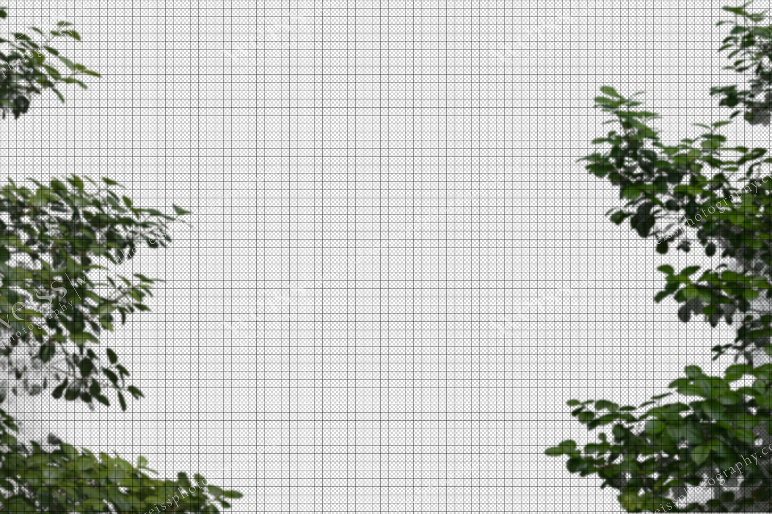 Spring Tree Log Overlay Easter Kids Background Photography Digital ...