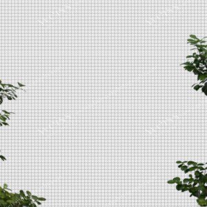 Spring Tree Log Overlay Easter Kids Background Photography Digital ...