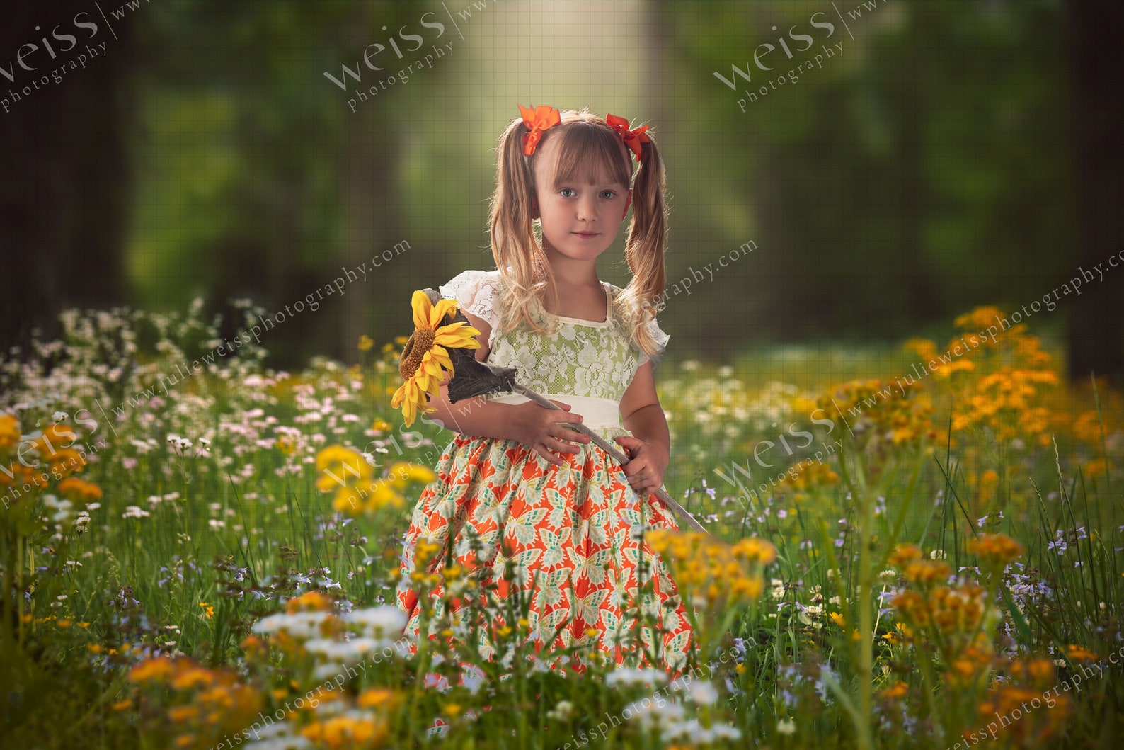 Spring Wild Flowers With Grass Overlay Easter Kids Background - Etsy