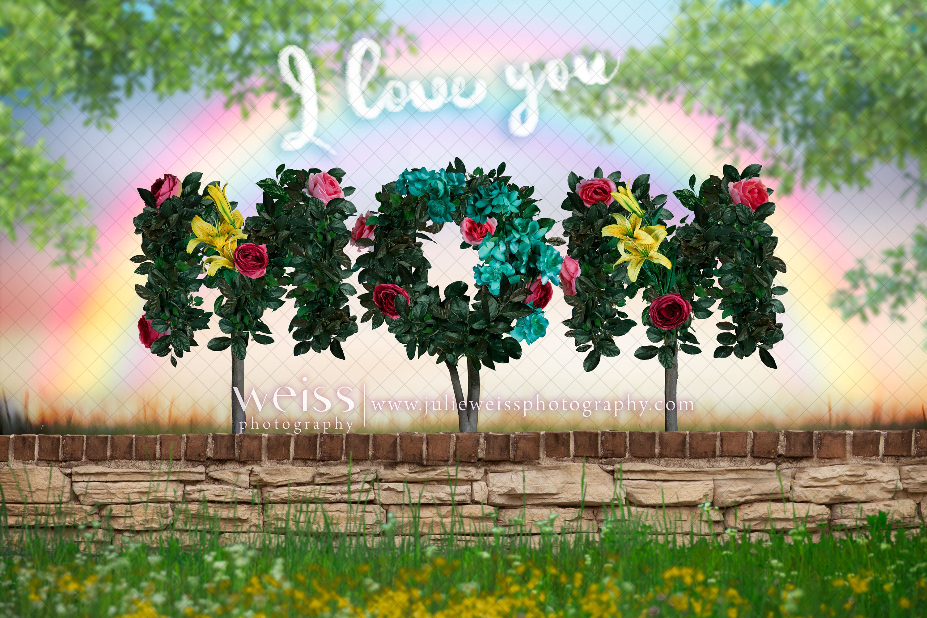 Mother's Day Digital Background Mom Spring Roses Rainbow Overlay ...