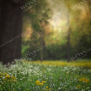 Spring Yellow Wildflower Field Overlay Kid Family Background ...