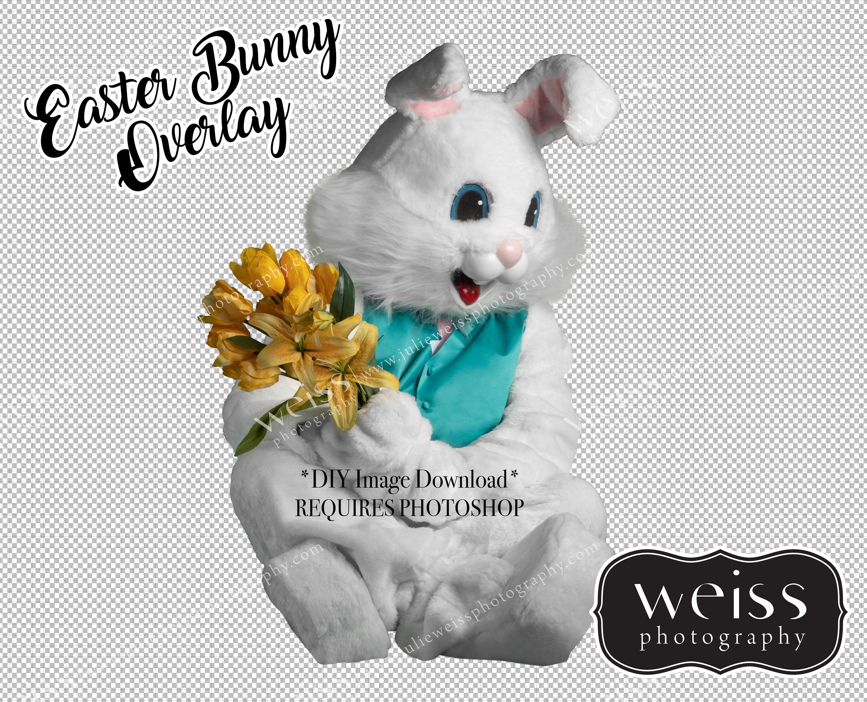 Easter Bunny Costume Sitting Holding Flowers Digital Overlay | Etsy