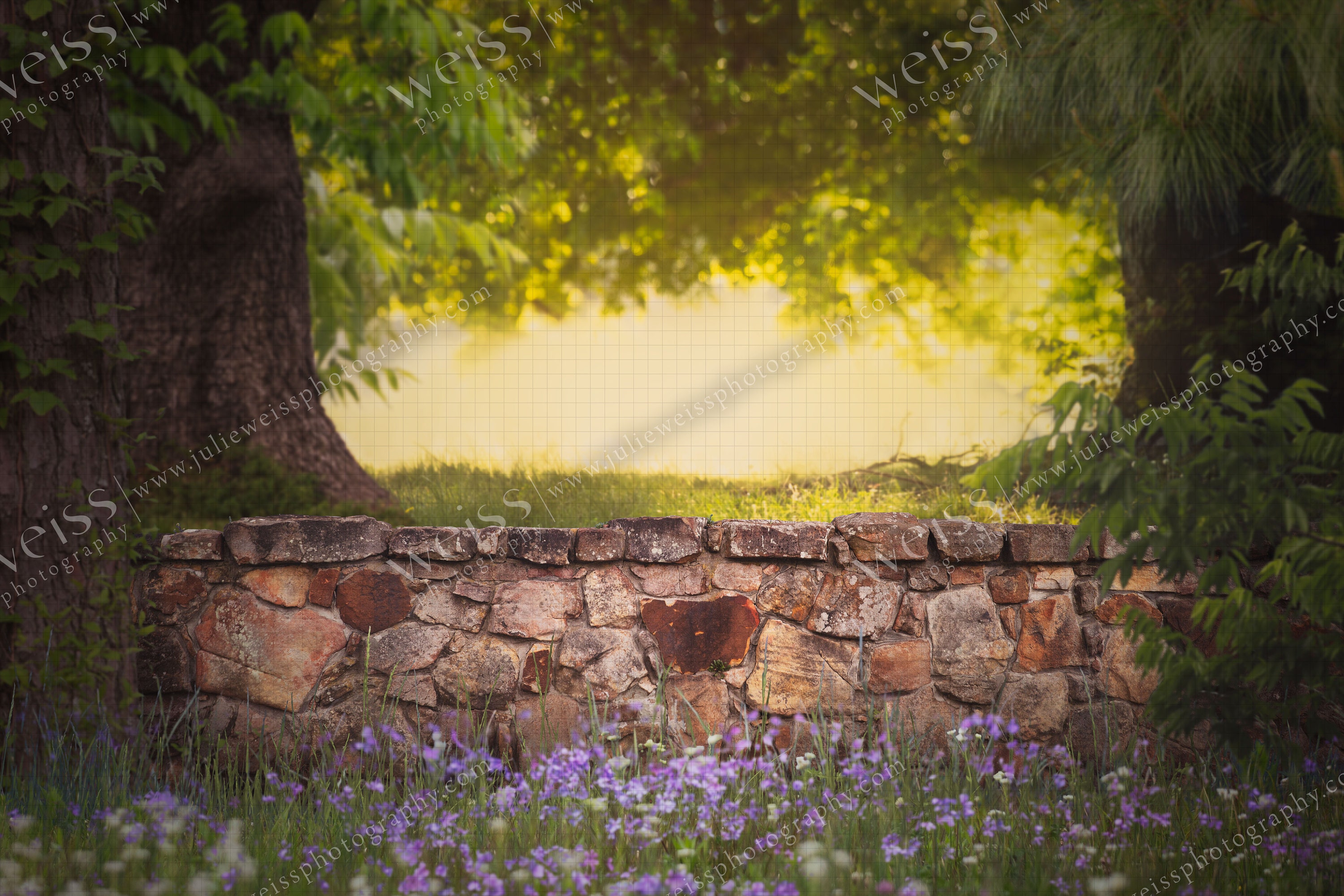 Spring Wall With Flowers With Grass Overlay Easter Kids - Etsy