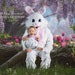 Spring Wall With Flowers With Grass Overlay Easter Kids Background ...