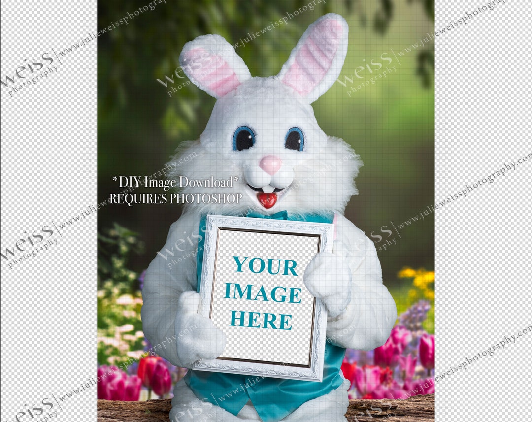Easter Bunny in A Costume Holding a Picture Frame - Etsy