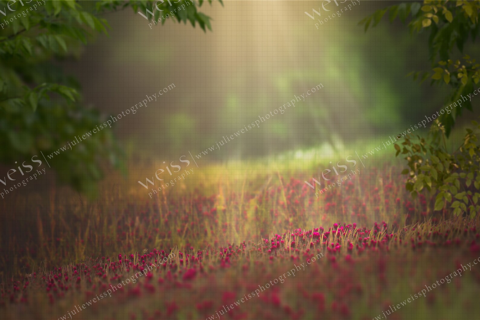 Spring Pink Flower Hill Field Overlay Easter Kids Background - Etsy