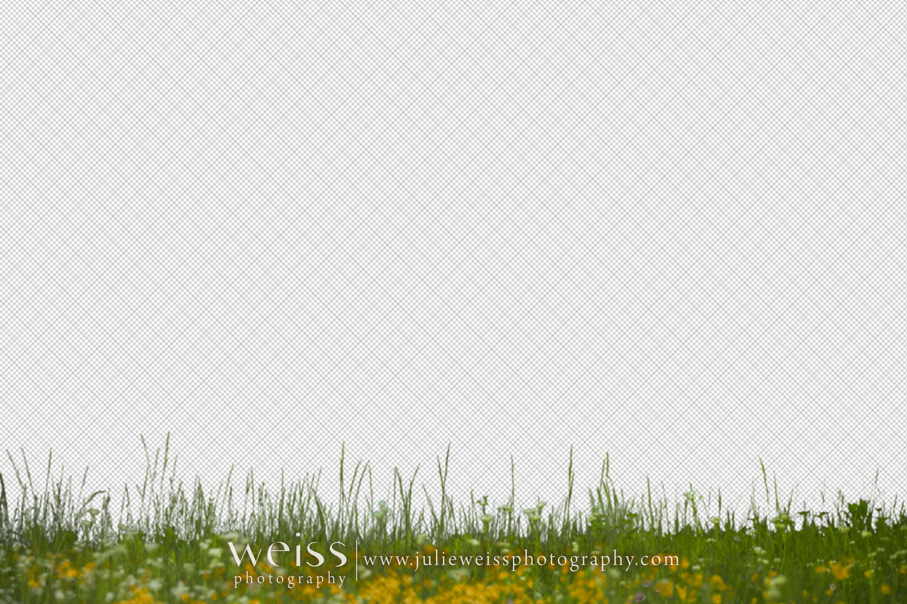 Mother's Day Digital Background Mom Spring Roses Rainbow | Etsy