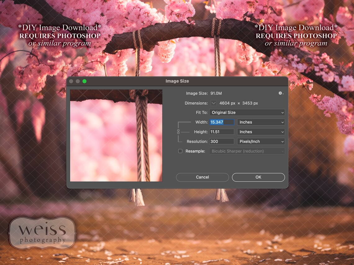 Pink Flower Wood Rope Swing Background Digital Backdrop - Etsy