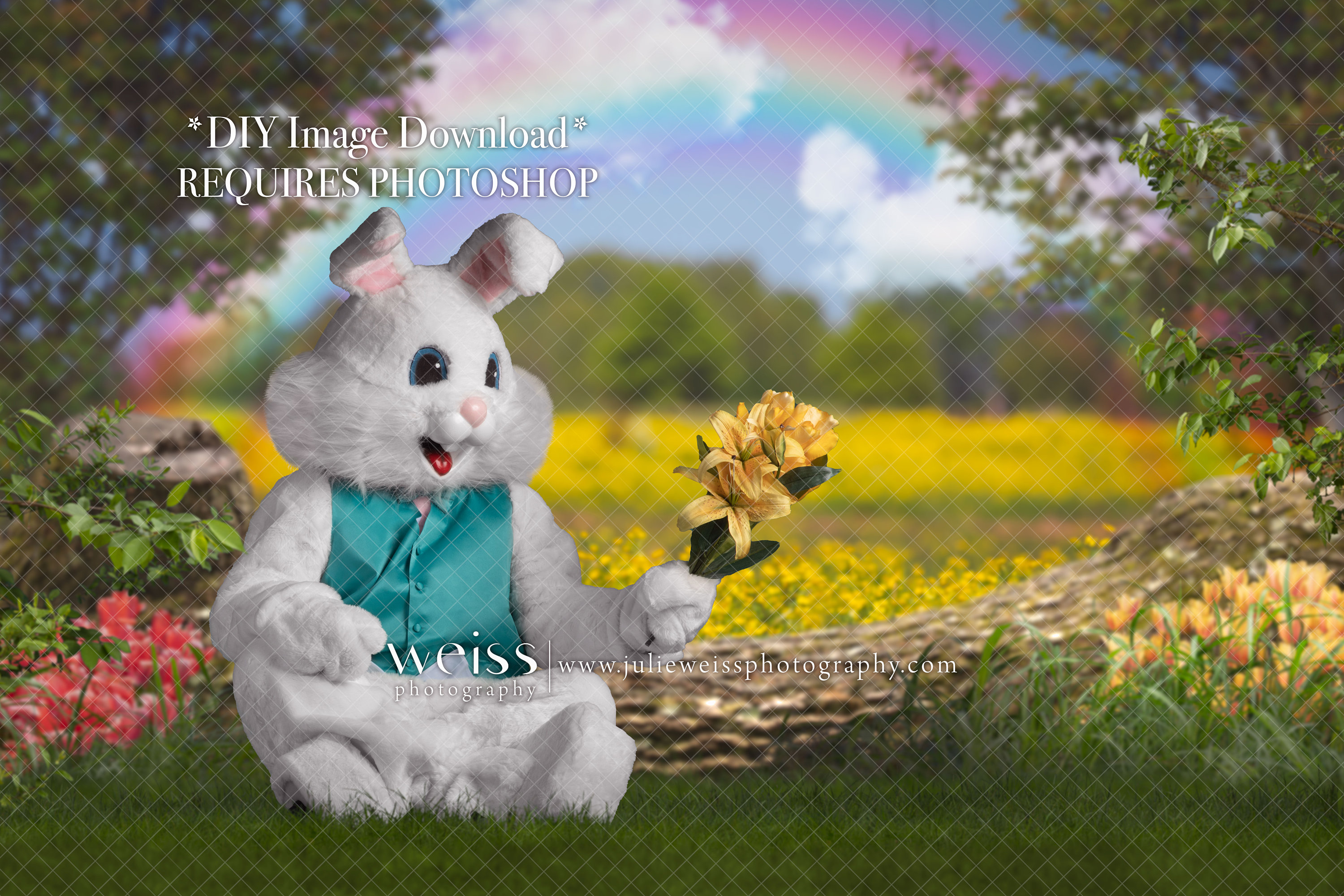 Easter Bunny Spring Flowers Digital Background Backdrop JPG PNG Overlay ...