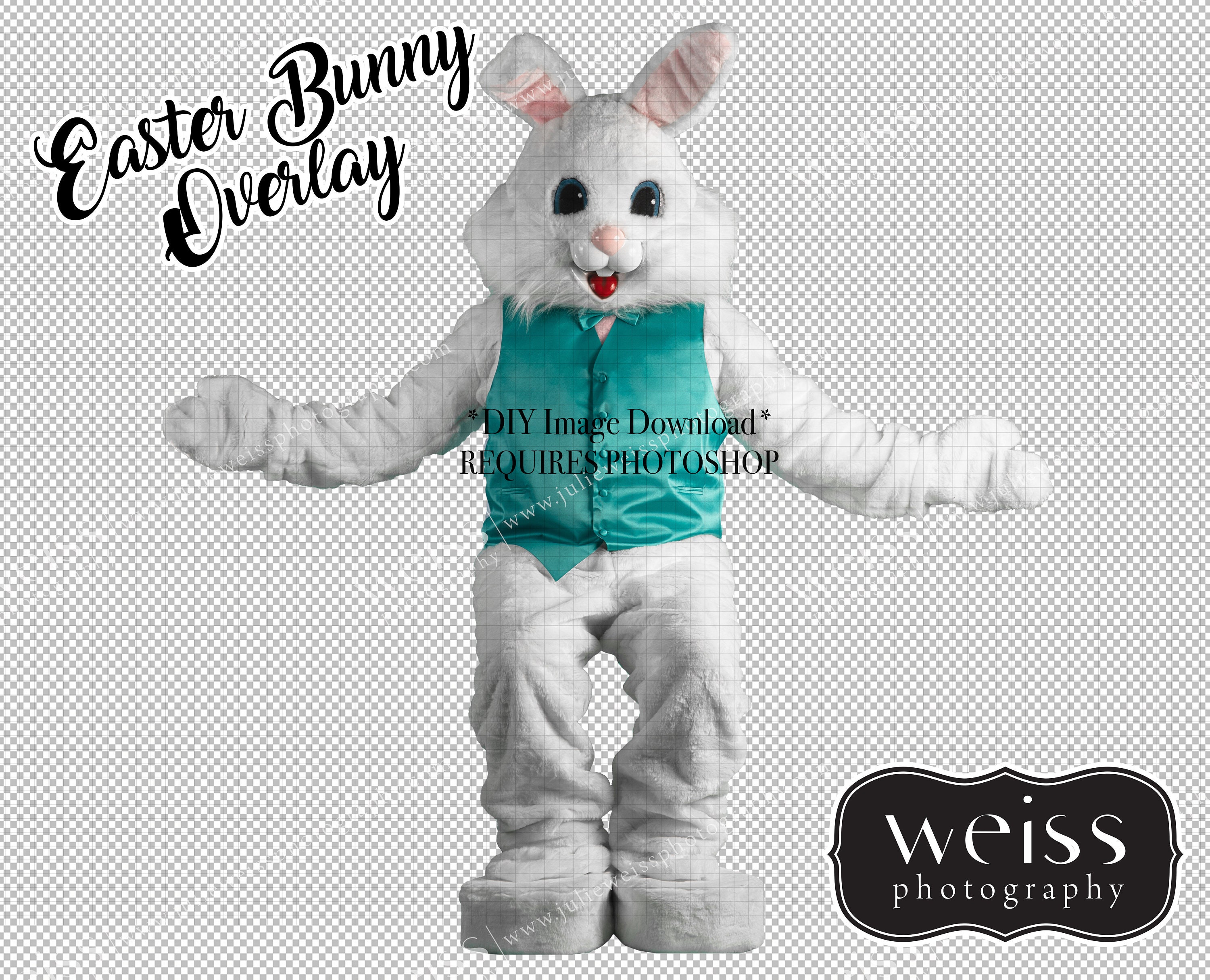 Easter Bunny Costume Png
