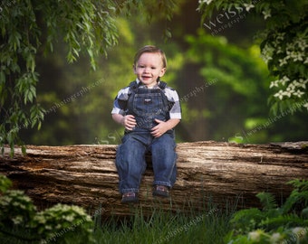 Spring Tree Log Overlay Easter Kids Background Photography | Etsy