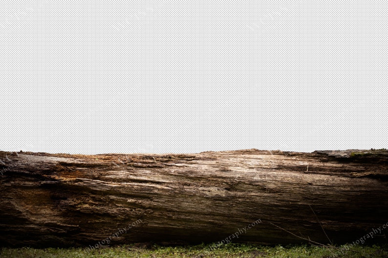 Spring Tree Log Overlay Easter Kids Background Photography - Etsy