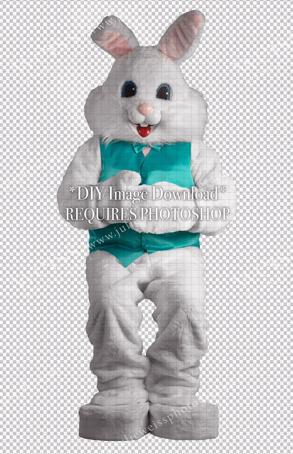 Easter Bunny Costume Png