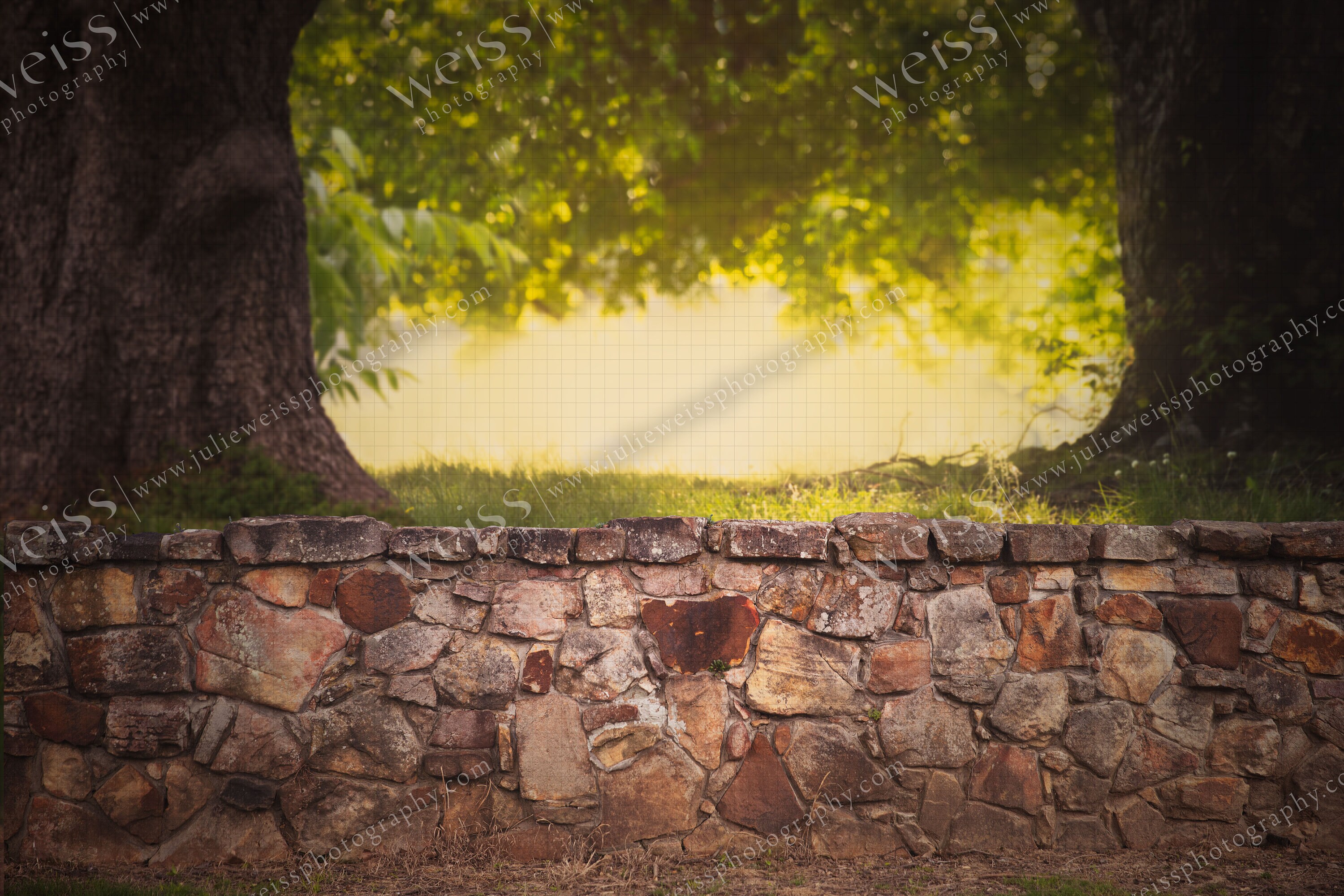 Spring Wall With Flowers With Grass Overlay Easter Kids - Etsy
