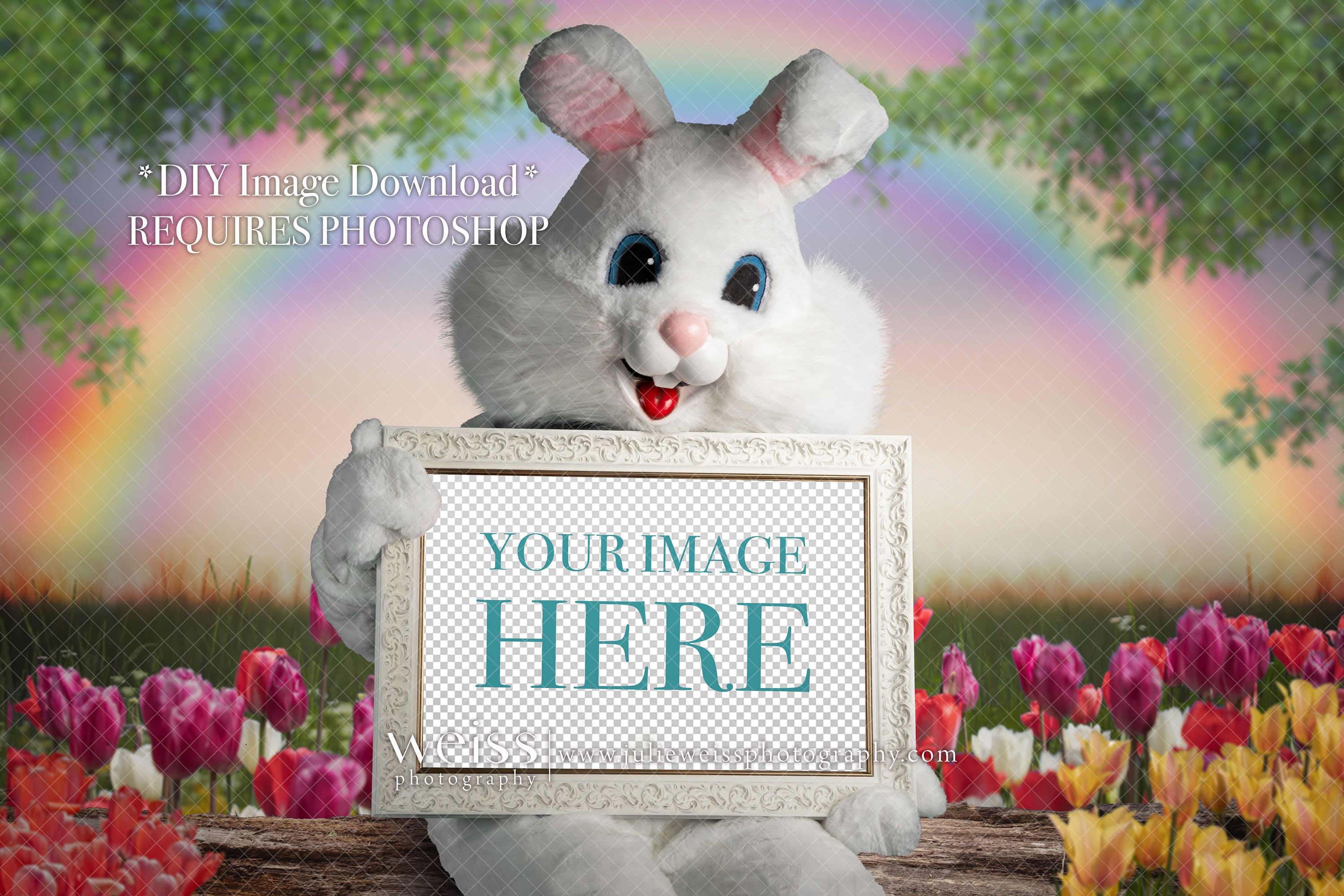 Easter Bunny Holding a Picture Frame Add Your Photo | Etsy