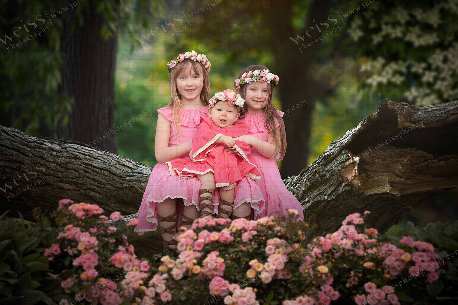 Pink Flower Spring Easter Log Seat Overlay Digital Background - Etsy