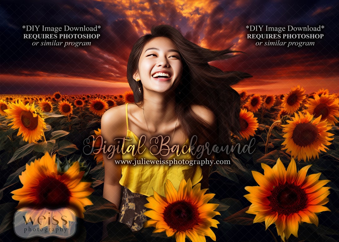 Summer Sunflower Field Background Digital Family Backdrop Overlay - Etsy