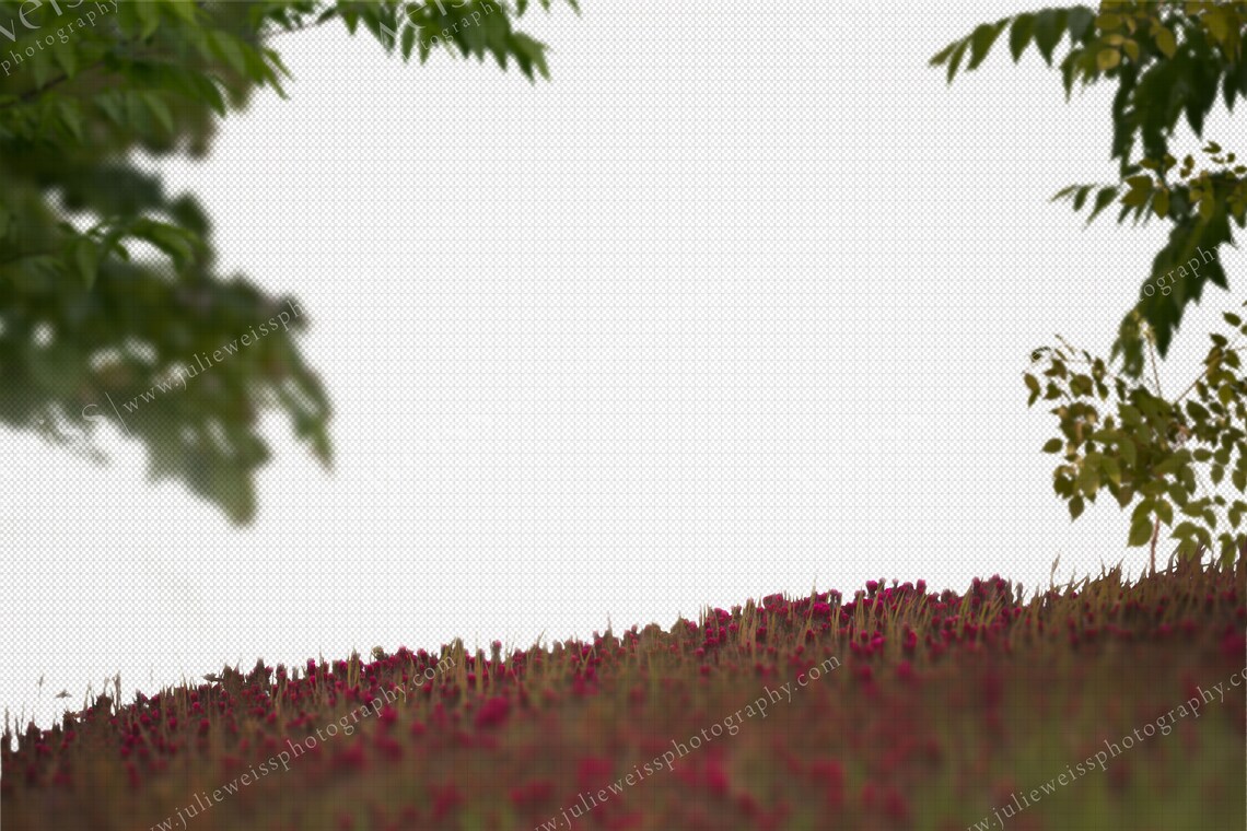 Spring Pink Flower Hill Field Overlay Easter Kids Background - Etsy