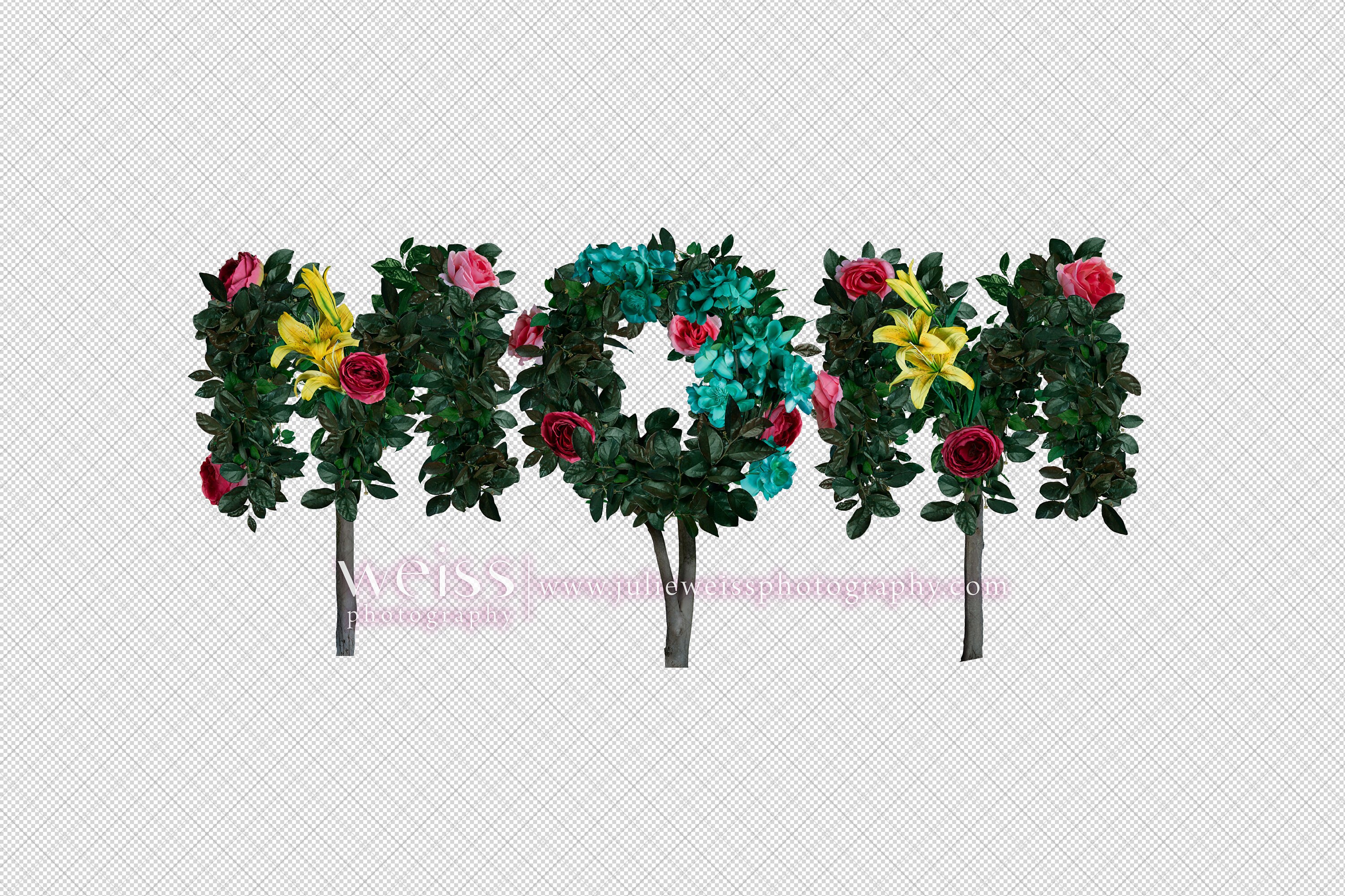 Mother's Day Digital Background Mom Spring Roses Rainbow Overlay ...