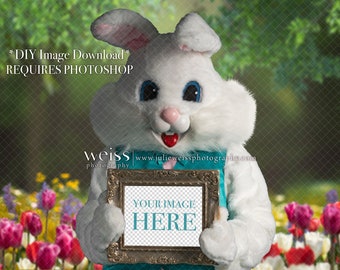 Easter Bunny Faceless Add Your Own Photo Picture PNG Easter Bunny Boy ...