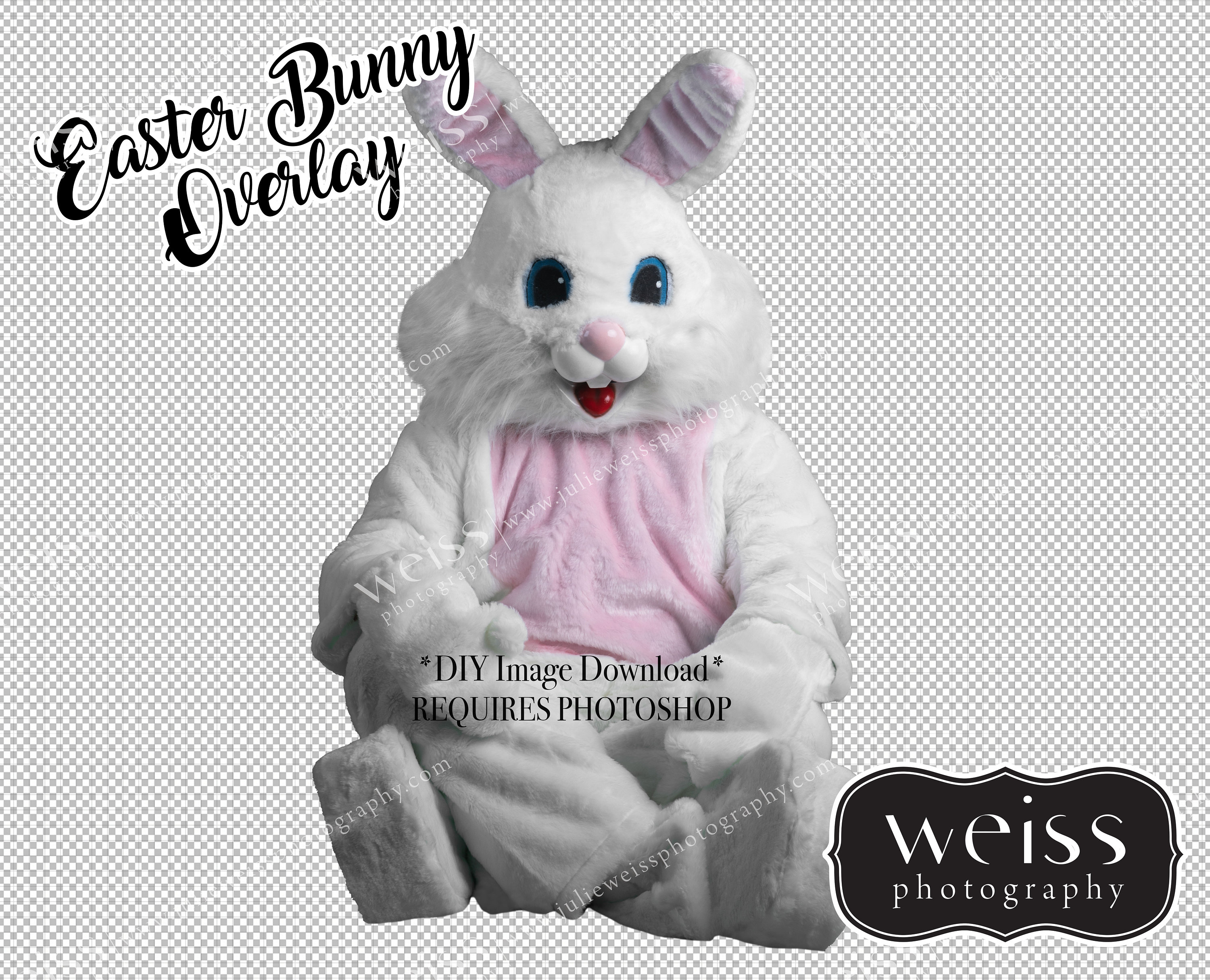 Cute Easter Bunny Costume