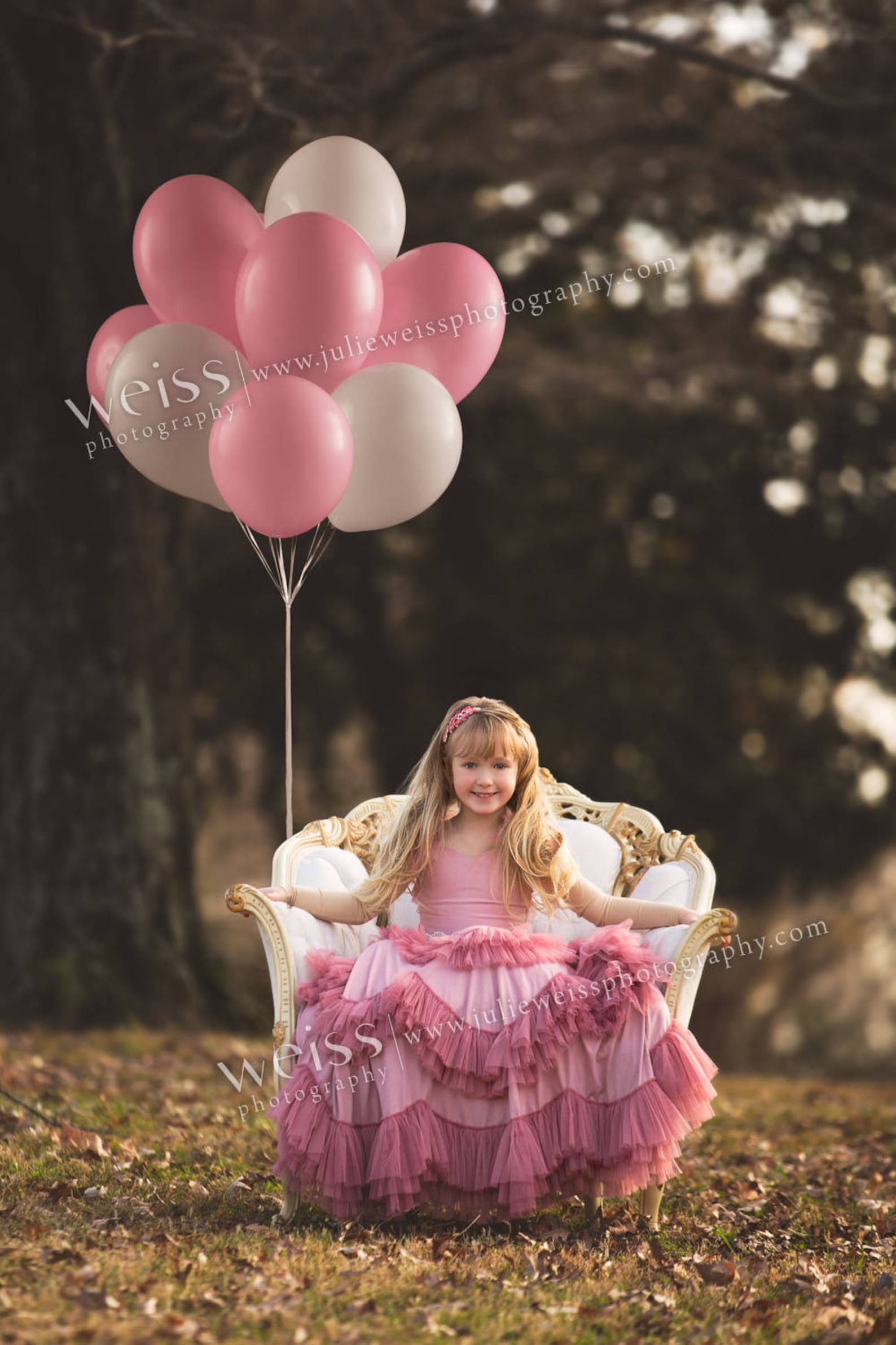 PNG Digital Balloons for Photography Compositing | Etsy